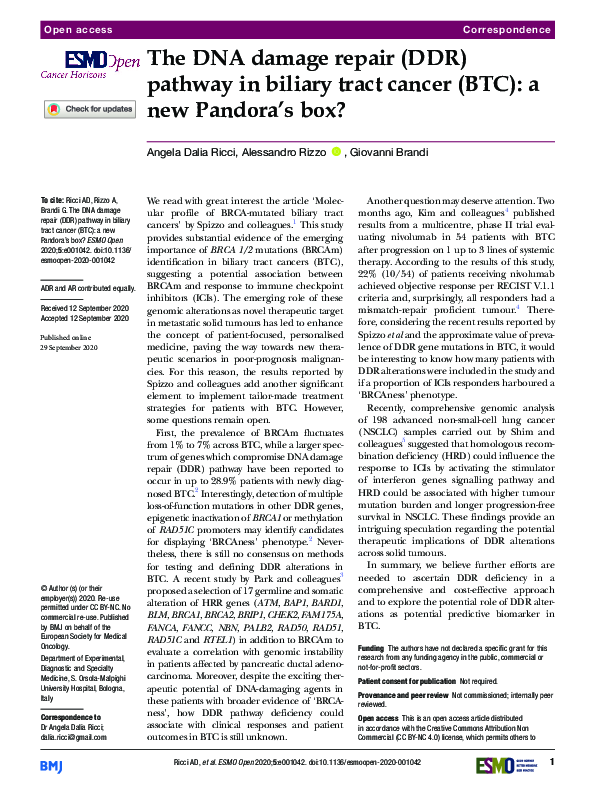 (PDF) The DNA damage repair (DDR) pathway in biliary tract cancer (BTC): a new Pandora’s box?