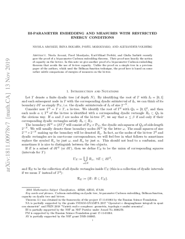(PDF) Bi-parameter embedding and measures with restriction energy condition