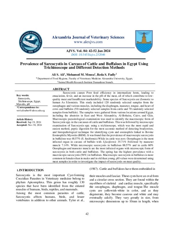 Pdf Prevalence Of Sarcocystis In Carcass Of Cattle And Buffaloes In Egypt Using Trichinoscope