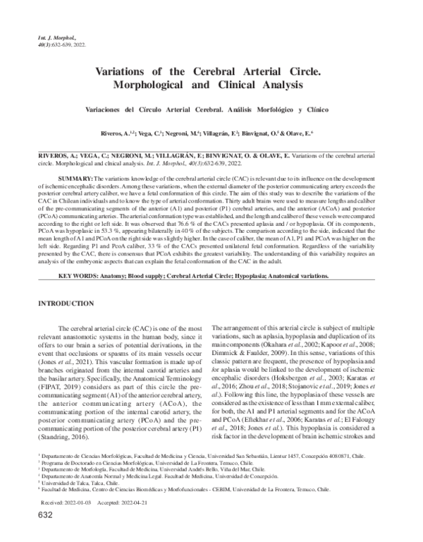 (PDF) Variations of the Cerebral Arterial Circle. Morphological and ...