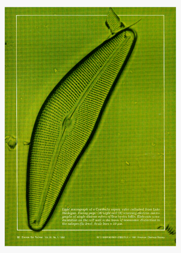 (PDF) Diatoms: powerful indicators of environmental change