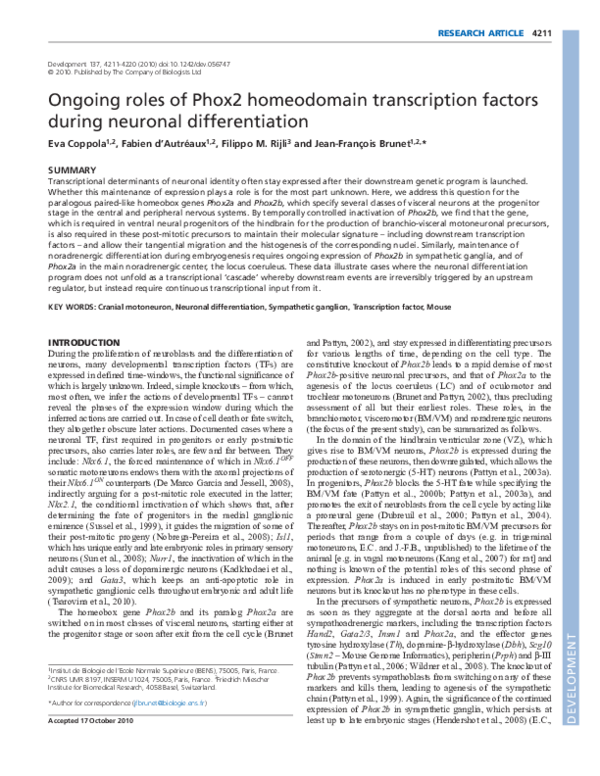 (PDF) Ongoing roles of Phox2 homeodomain transcription factors during neuronal differentiation