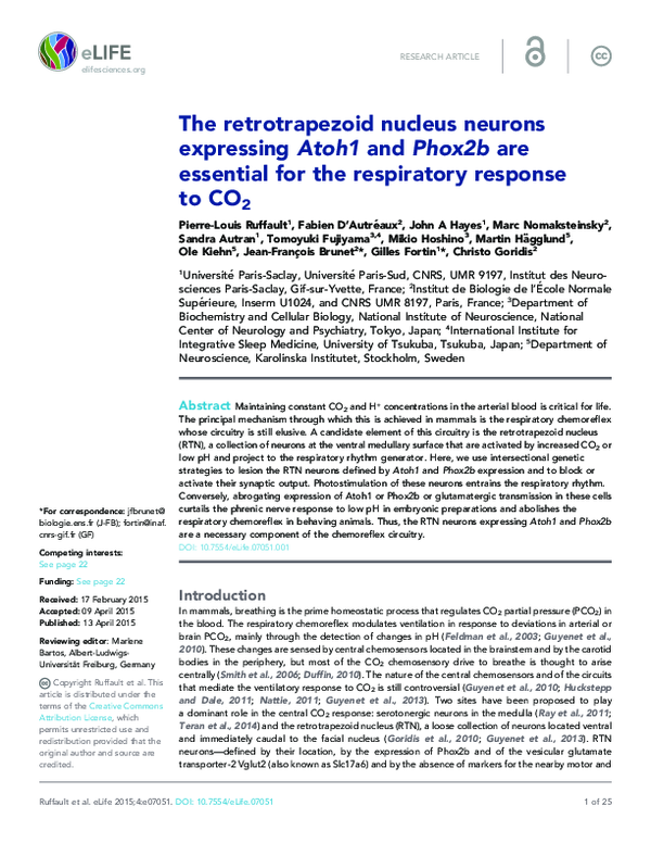 (PDF) The retrotrapezoid nucleus neurons expressing Atoh1 and Phox2b ...