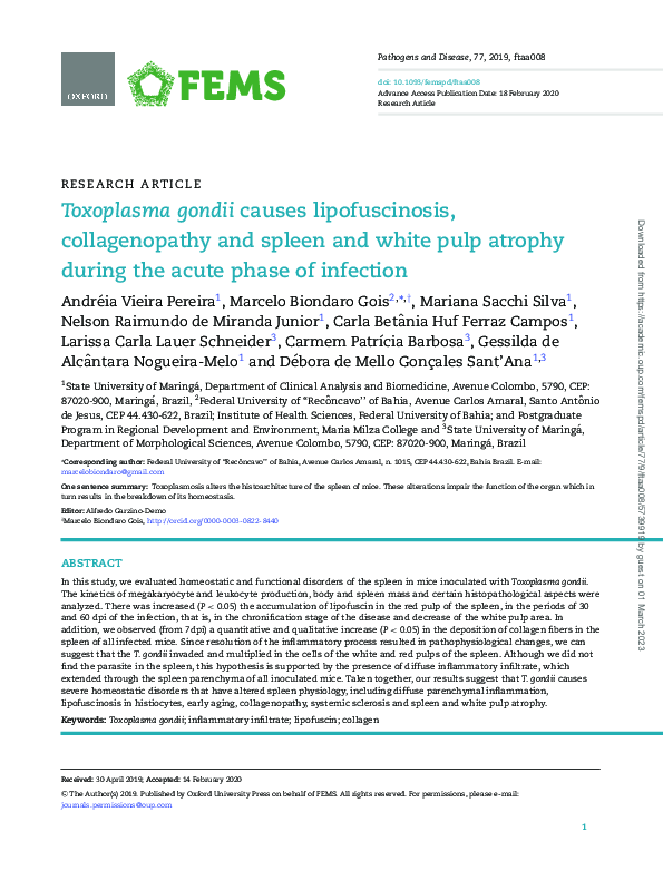 (PDF) Toxoplasma gondii causes lipofuscinosis, collagenopathy and ...