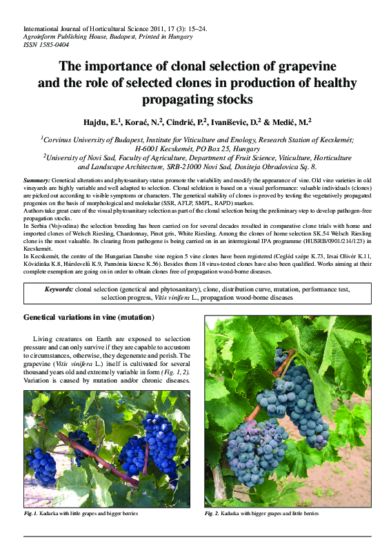 (PDF) The importance of clonal selection of grapevine and the role of selected clones in ...