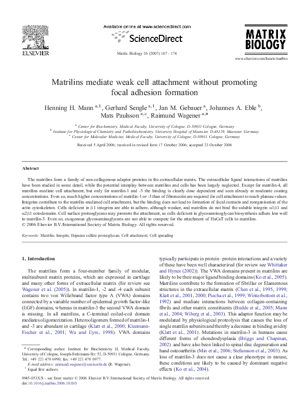 (PDF) Matrilins mediate weak cell attachment without promoting focal ...