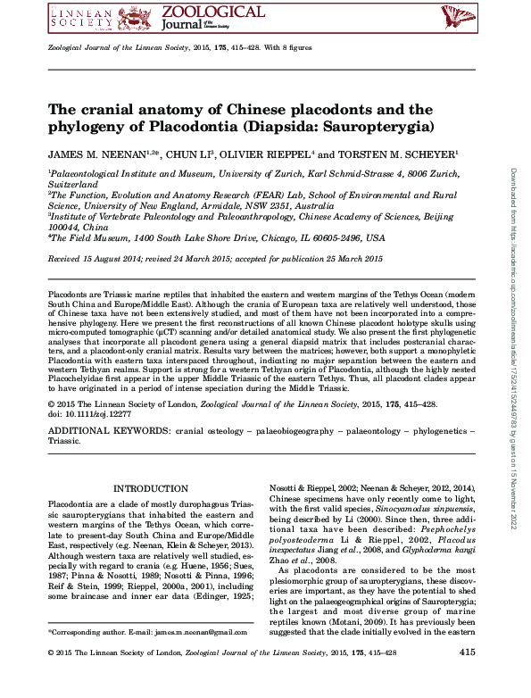 (PDF) The cranial anatomy of Chinese placodonts and the phylogeny of ...