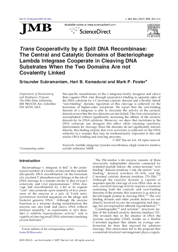 (PDF) Trans Cooperativity by a Split DNA Recombinase: The Central and ...