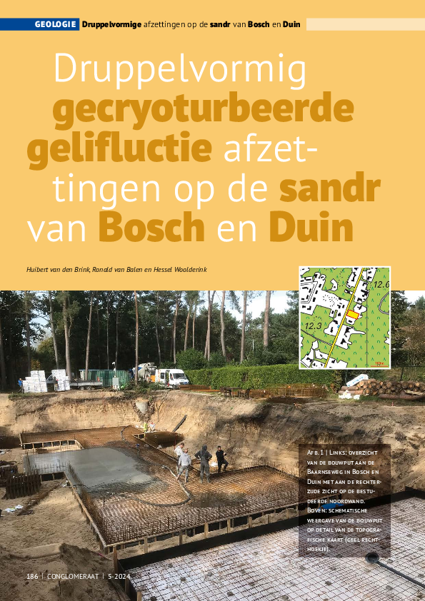 (PDF) Druppelvormig gecryoturbeerde gelifluctie afzettingen op de sandr ...