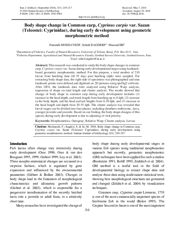 (PDF) The role of CcTpt1 in scale and early embryo development in ...