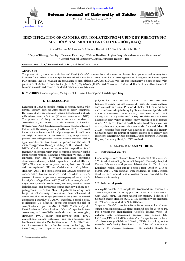 (PDF) Identification of Candida Spp. Isolated From Urine by Phenotypic Methods and Multiplex Pcr ...