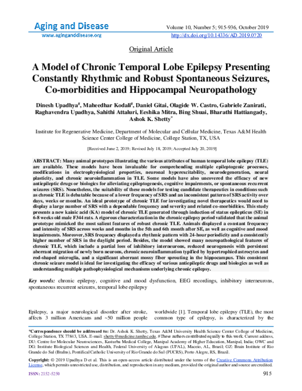 (PDF) A Model of Chronic Temporal Lobe Epilepsy Presenting Constantly Rhythmic and Robust ...