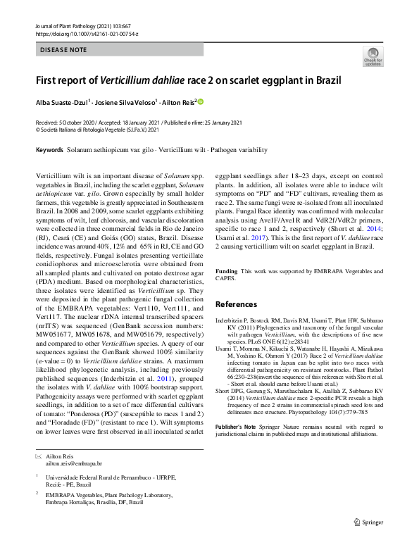 (PDF) First report of Verticillium dahliae race 2 on scarlet eggplant in Brazil