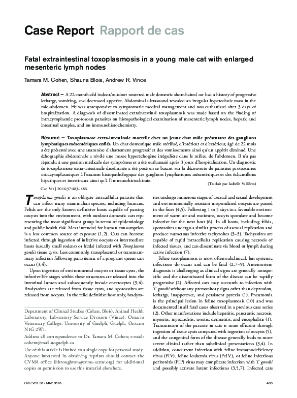 (PDF) Fatal extraintestinal toxoplasmosis in a young male cat with ...