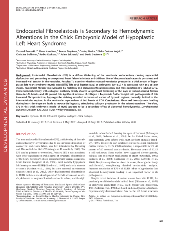 (PDF) Endocardial Fibroelastosis is Secondary to Hemodynamic ...