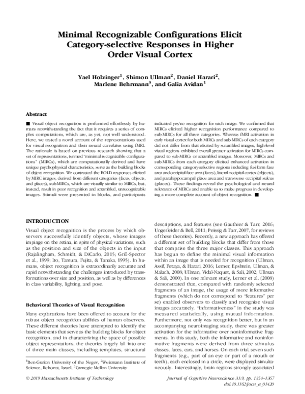 (PDF) Minimal Recognizable Configurations Elicit Category-selective Responses in Higher Order ...