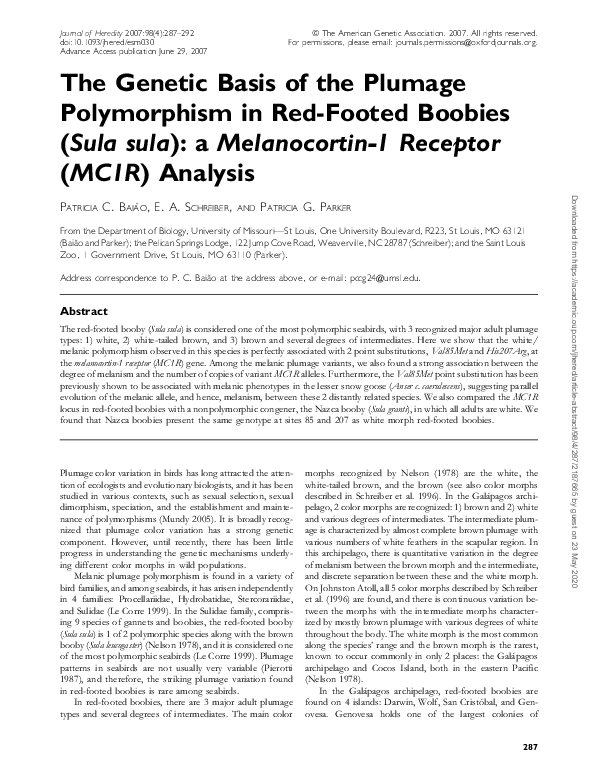 (PDF) The Genetic Basis of the Plumage Polymorphism in Red-Footed ...