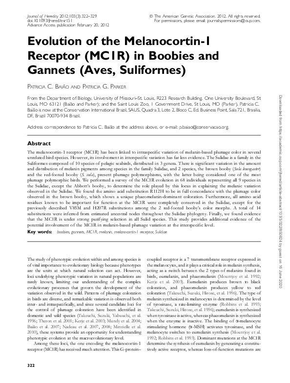 (PDF) Evolution of the Melanocortin-1 Receptor (MC1R) in Boobies and ...