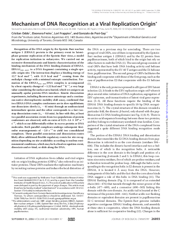 (PDF) Mechanism of DNA Recognition at a Viral Replication Origin