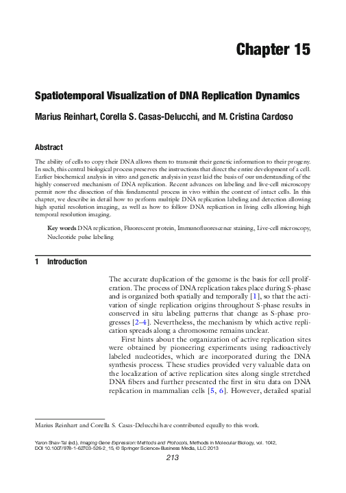 (PDF) Spatiotemporal visualization of DNA replication dynamics