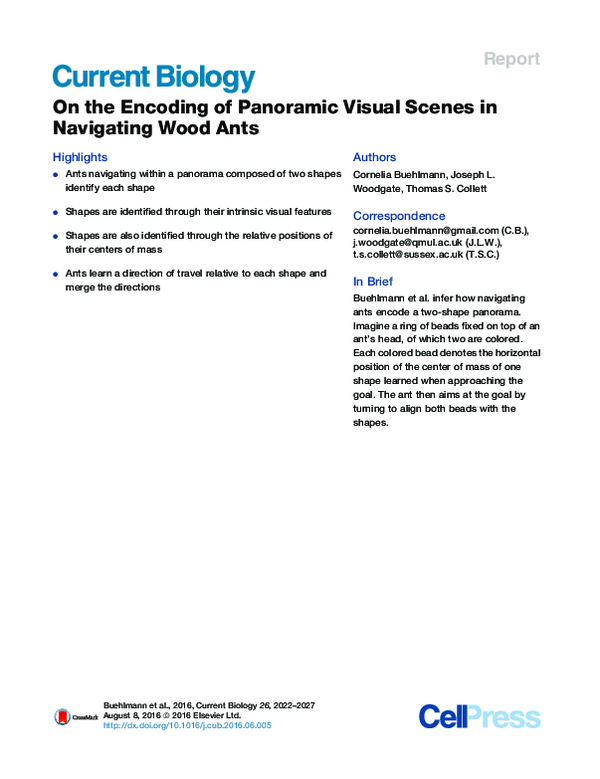 (PDF) On the Encoding of Panoramic Visual Scenes in Navigating Wood Ants