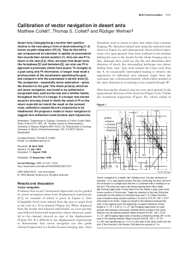 (PDF) Calibration of vector navigation in desert ants
