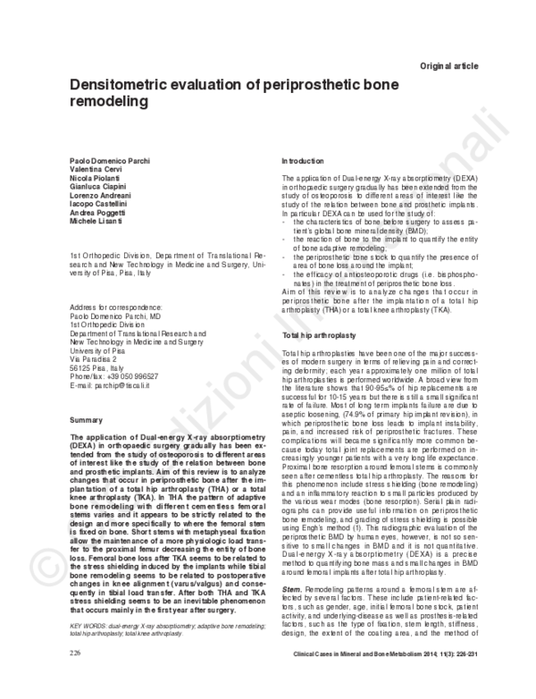 (PDF) Densitometric evaluation of periprosthetic bone remodeling