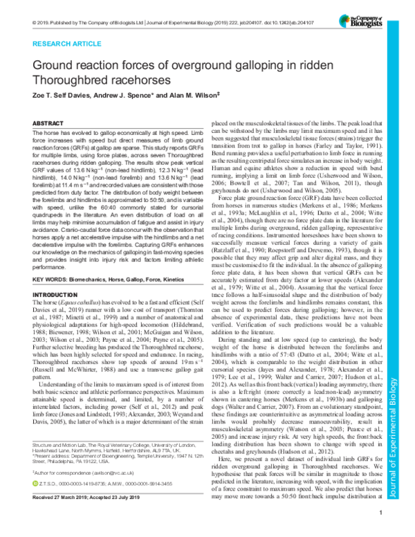 (PDF) Ground reaction forces of overground galloping in ridden ...