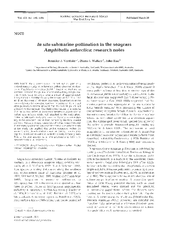(PDF) In situ submarine pollination in the seagrass Amphibolis ...