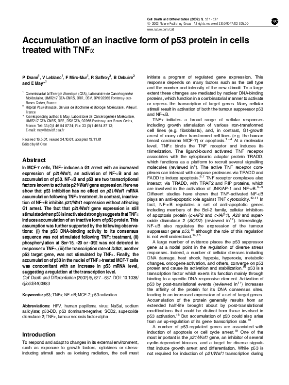 (PDF) Accumulation of an inactive form of p53 protein in cells treated ...
