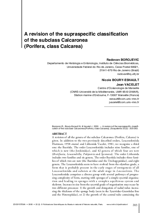 Pdf A Revision Of The Supraspecific Classification Of The Subclass