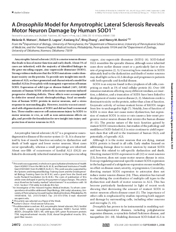(PDF) A Drosophila Model for Amyotrophic Lateral Sclerosis Reveals Motor Neuron Damage by Human SOD1