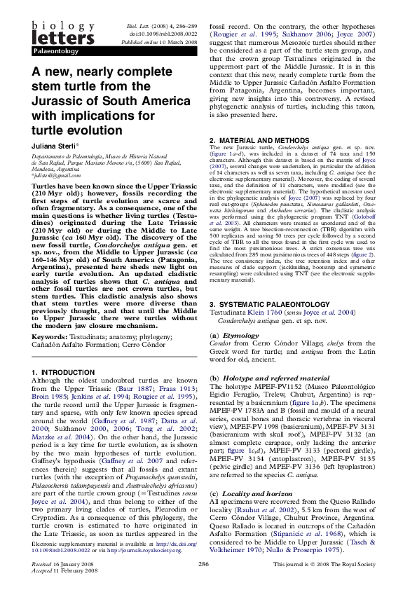 (PDF) A new, nearly complete stem turtle from the Jurassic of South ...