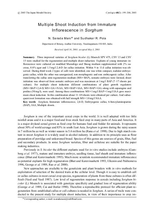 (PDF) Multiple Shoot Induction from Immature Inflorescence in Sorghum