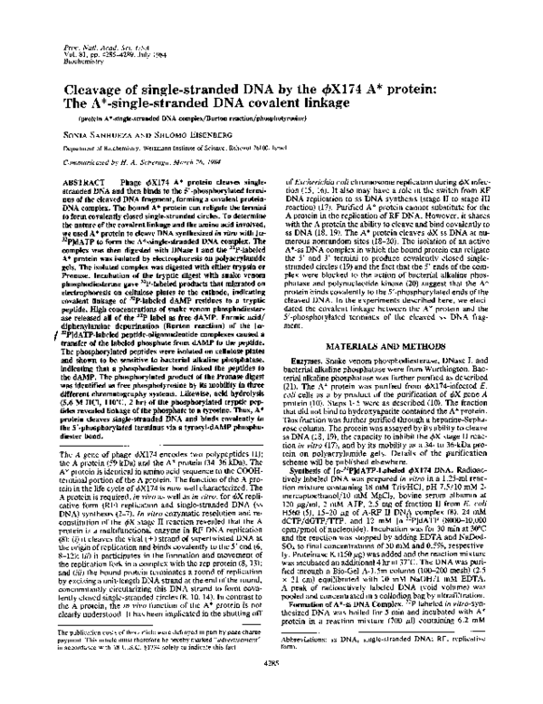 (PDF) Cleavage of single-stranded DNA by the ϕX174 A * protein: The A ...