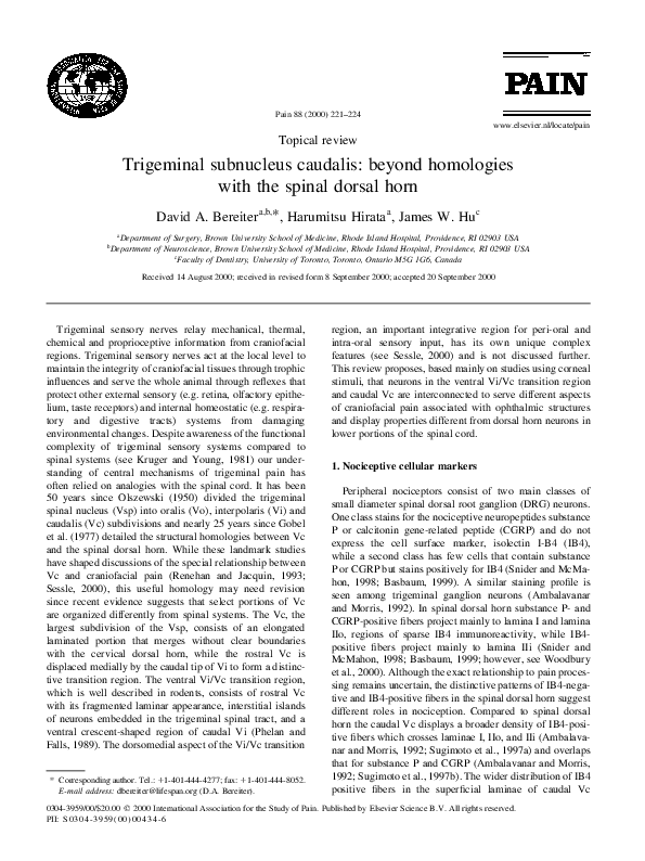 (PDF) Trigeminal subnucleus caudalis: beyond homologies with the spinal ...
