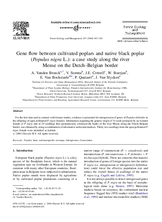 (PDF) Gene flow between cultivated poplars and native black poplar ...