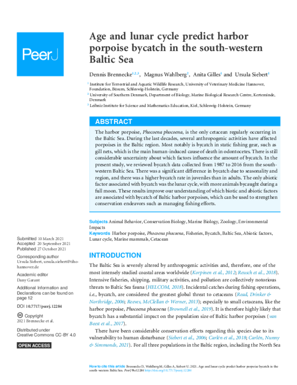 (PDF) Age and lunar cycle predict harbor porpoise bycatch in the south ...