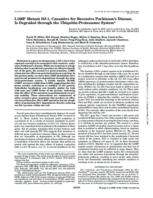 Pdf L166p Mutant Dj 1 Causative For Recessive Parkinsons Disease