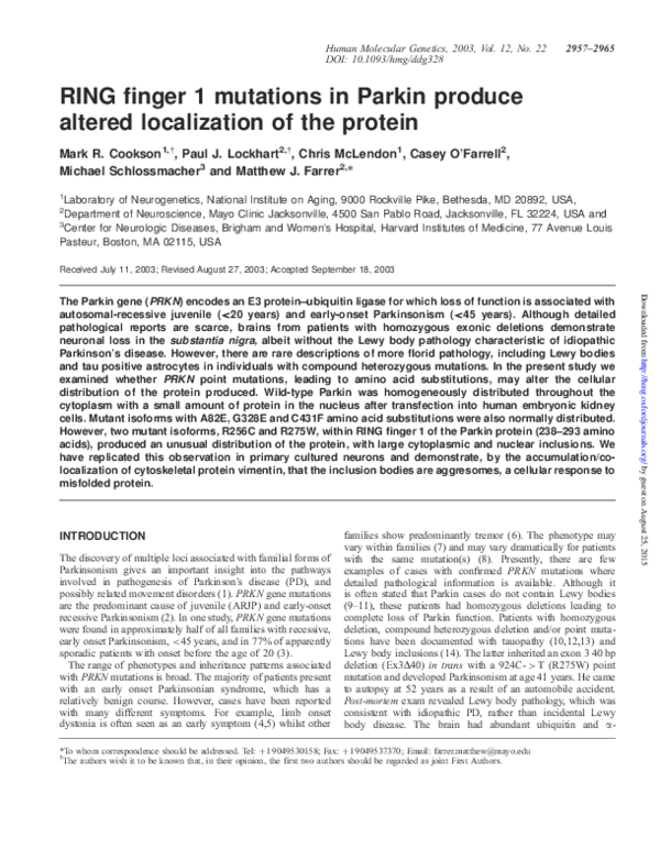 (PDF) RING finger 1 mutations in Parkin produce altered localization of ...