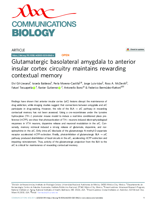 (PDF) Glutamatergic basolateral amygdala to anterior insular cortex ...