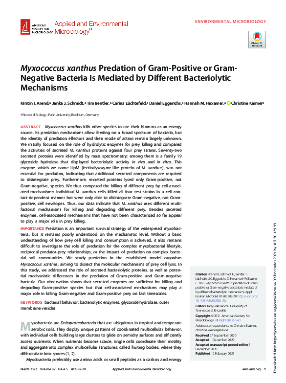 (PDF) Myxococcus xanthus Predation of Gram-Positive or Gram-Negative ...