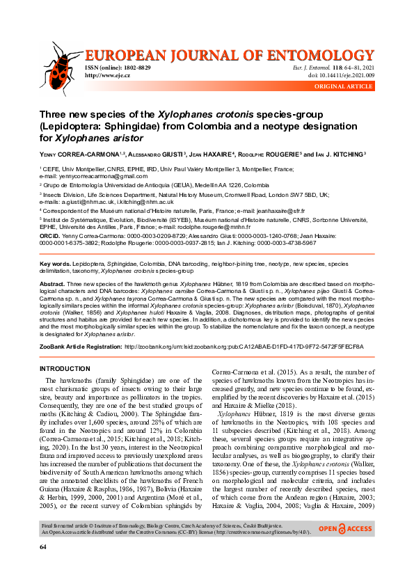 (PDF) Three new species of the Xylophanes crotonis species-group ...