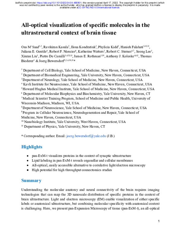 (PDF) All-optical visualization of specific molecules in the ultrastructural context of brain tissue
