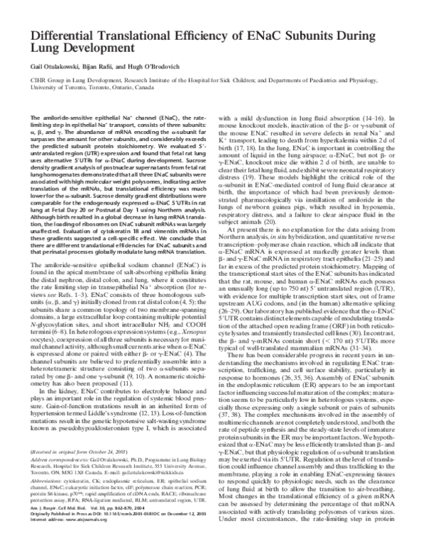 (PDF) Differential Translational Efficiency of ENaC Subunits During Lung Development