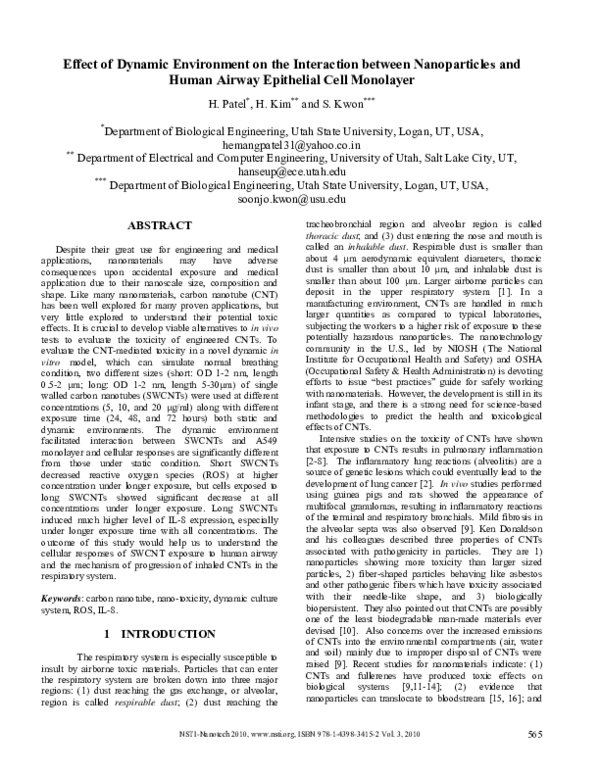 (PDF) Effect of dynamic environment on the interaction between nanoparticles and human airway ...