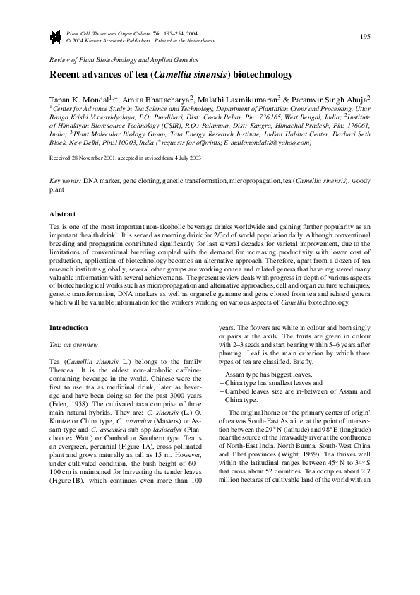 (PDF) Recent advances of tea (Camellia sinensis) biotechnology