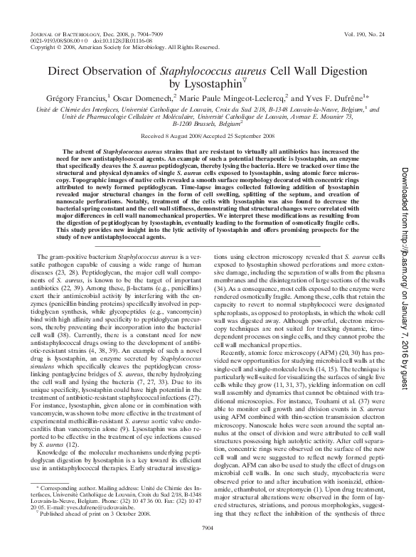 (PDF) Direct Observation of Staphylococcus aureus Cell Wall Digestion by Lysostaphin