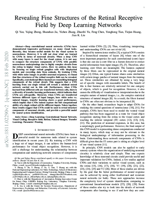 (PDF) Revealing Fine Structures of the Retinal Receptive Field by Deep Learning Networks