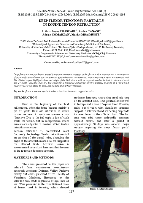 (PDF) Deep Flexor Tenotomy Partially in Equine Tendon Retraction